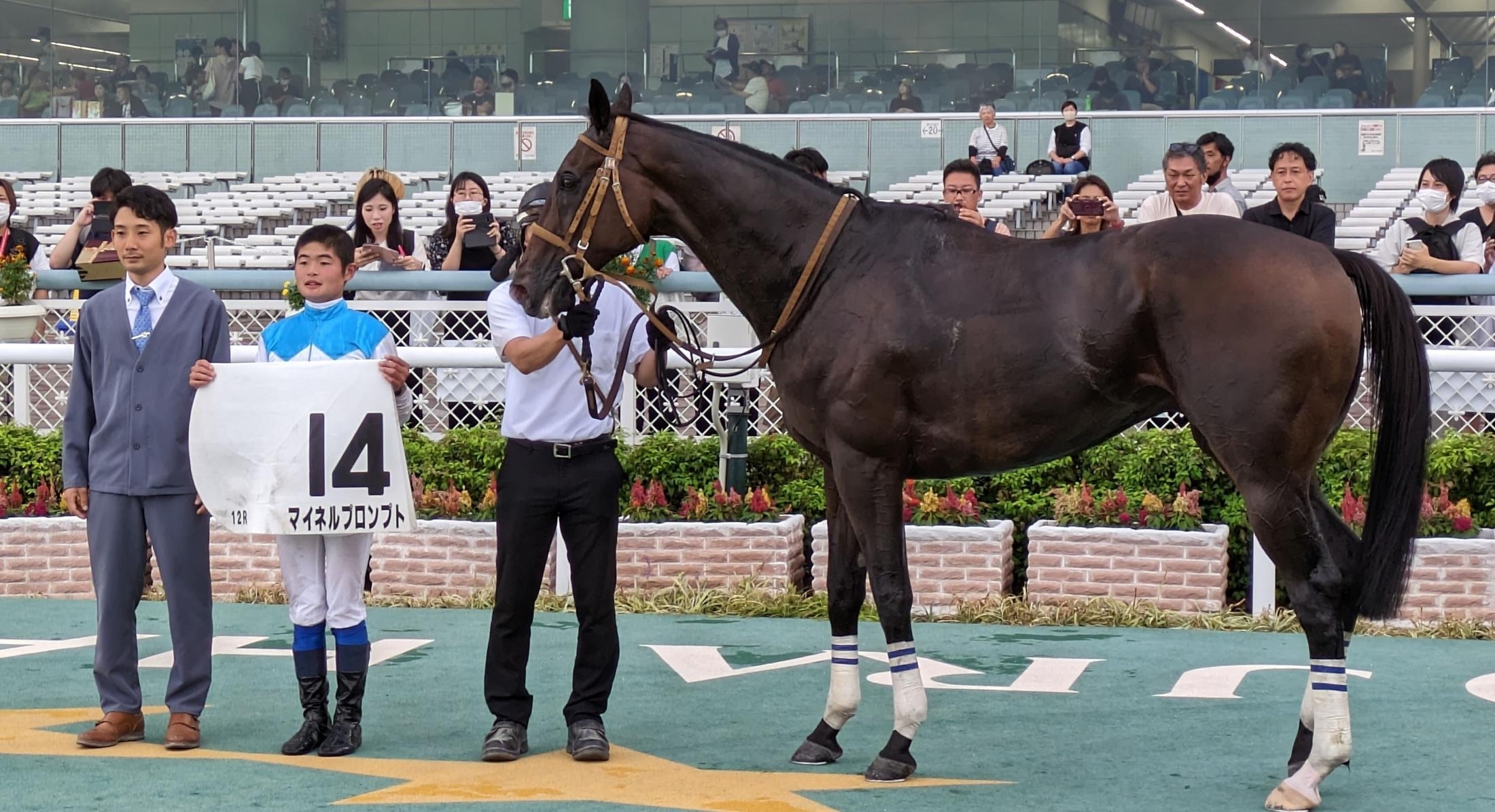 11-year-old Meiner Prompt becomes the oldest horse to win a race in the JRA | Horse Racing News ...