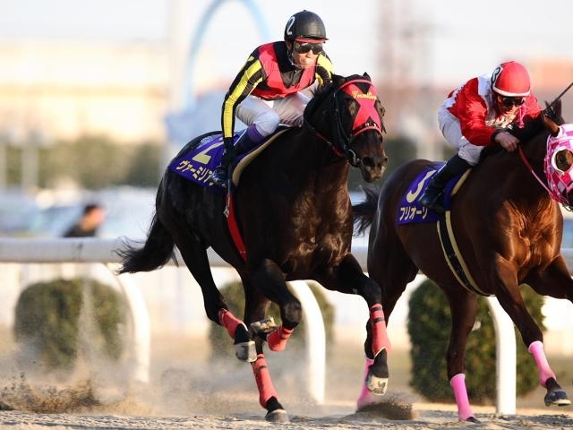 Legendary Dirt Champion Vermilion, Nine-time G1/Jpn1 Winner, Succumbs to Colic | Horse Racing ...