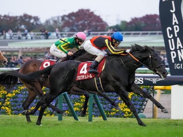 This week's racing schedule for JRA and NAR | Horse Racing News - netkeiba