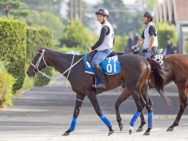 Meisho's glory in sight: Trainer Mamoru Ishibashi aims to deliver owner Yoshio Matsumoto's ...