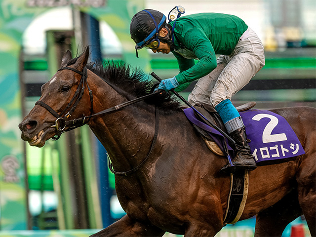 Irogotoshi domination of JG1 Nakayama Grand Jump gives Kyushu region first G1 winner | Horse ...