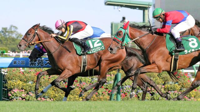 紫苑SがG3からG2へ昇格 新潟牝馬Sはリステッドに格付け JRA発表 | 競馬ニュース - netkeiba