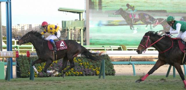 【AJCC】2着エヒトの田中勝春「もっと大きなお年玉が欲しかった」 | 競馬ニュース - netkeiba