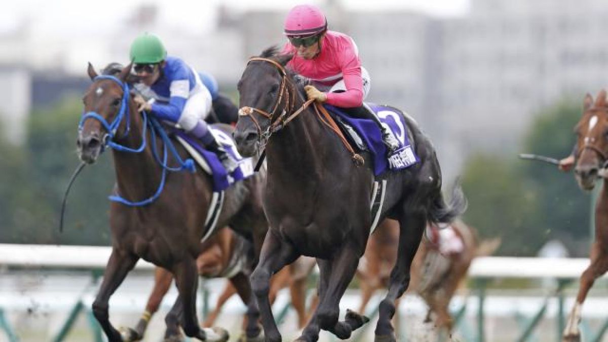 【8/27 WASJ第2戦ほか】札幌ダイジェスト/JRAレース結果 | 競馬予想動画 - netkeiba