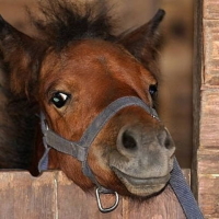 【きーちゃん(KEY指数)】B2ー1混合 2025年10月19日帯広(ば)12R の地方競馬予想 | 【ウマい馬券】地方競馬予想 - netkeiba