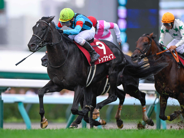 札幌記念(G2) 寸評・回顧 | 2025年8月17日 札幌11R レース情報(JRA) - netkeiba