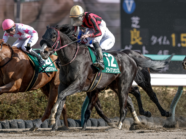 マーチS(G3) 寸評・回顧 | 2025年3月30日 中山11R レース情報(JRA) - netkeiba